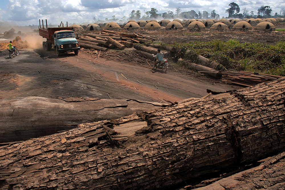 Apenas um terço da madeira explorada na Amazônia é aproveitada – Vocativo
